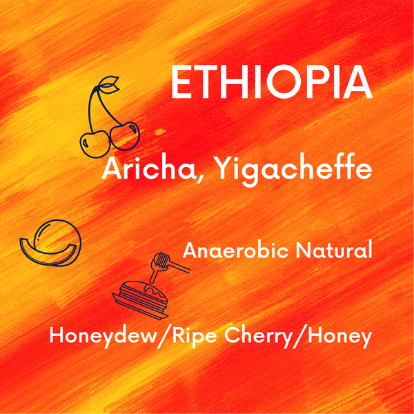 V5 Coffee connects People – V5COFFEE