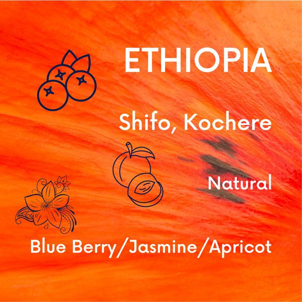 V5 Coffee connects People – V5COFFEE